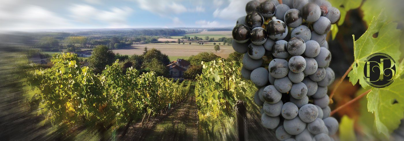 DOMAINE DES BENEDICTINS - Tasty Loire