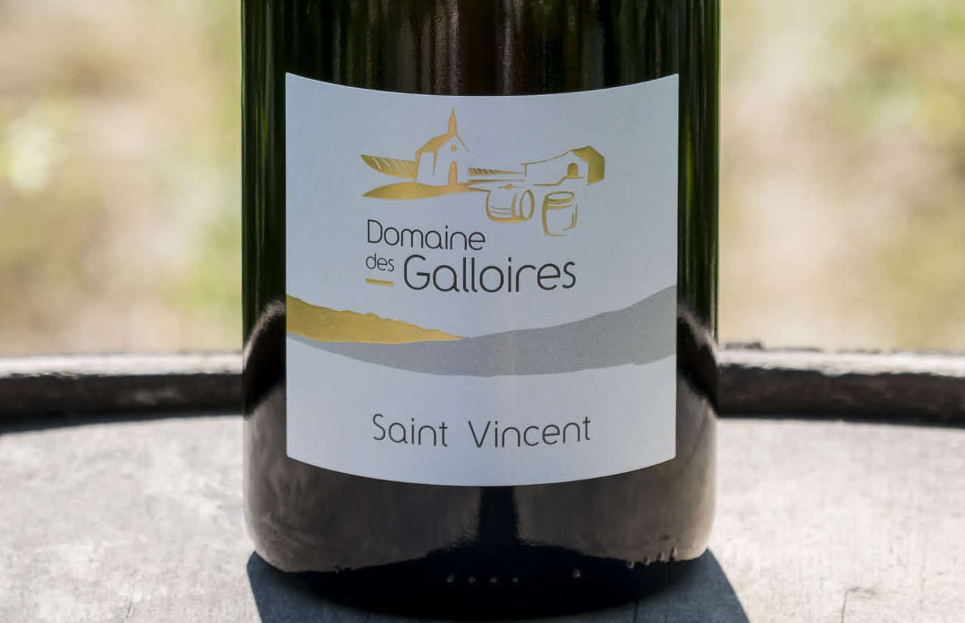 Anjou blanc "St Vincent" 2023 - Tasty Loire