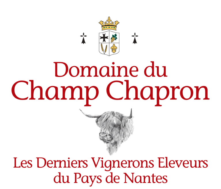 Domaine du Champ Chapron - Tasty Loire